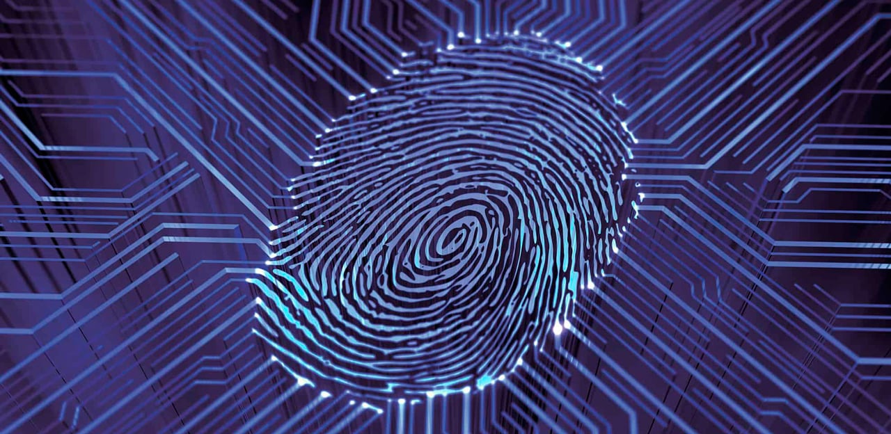 Eliminar mi rastro digital completo » Eliminamos Contenido de Internet